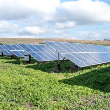 The Value of Bulk Energy Storage for Reducing CO2 Emissions and Water ...