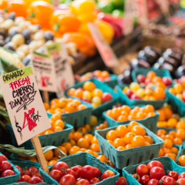 Finding Our Way to Food Democracy: Lessons from US Food Policy Council ...