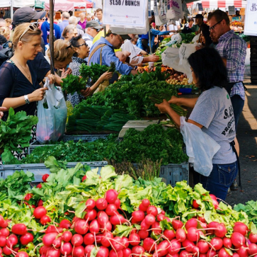 Knowledge and Experience Related to Community Supported Agriculture and ...